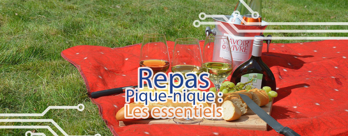 Repas Pique-nique : Les essentiels ⋆ Astuces ⋆ TECHblog