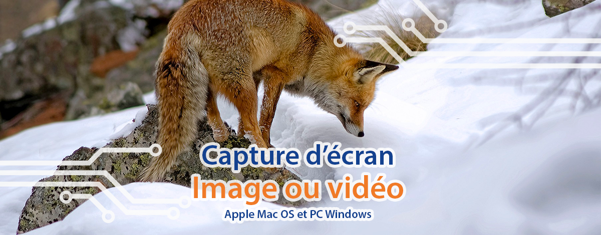 Comment faire une capture d'écran vidéo ? / Tutoriel / TECHblog