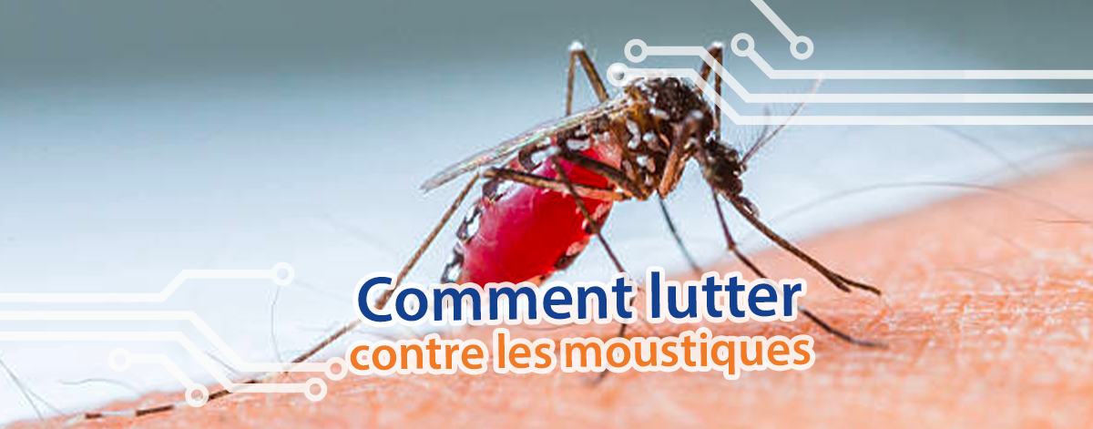 Comment lutter contre les moustiques de cette été ? / astuces / TECHblog